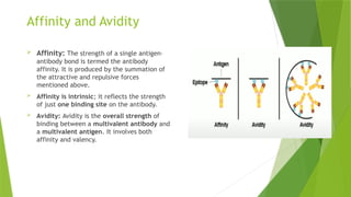 Antibody-antigen interaction and antibodyEngineering | PPTX
