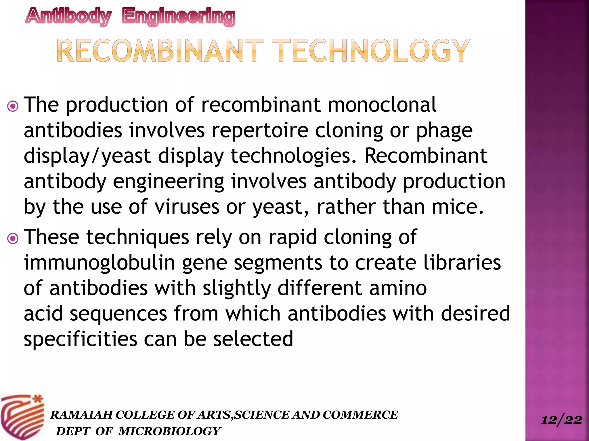 Antibody engineering by R.S.Priyengha | PPTX