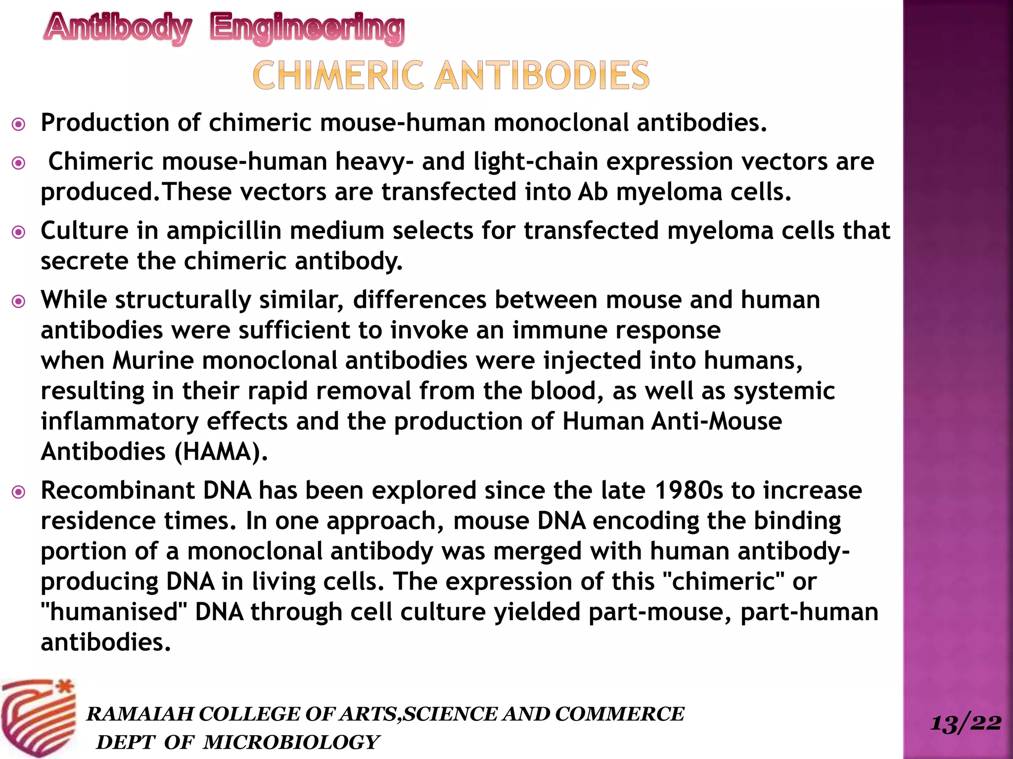 Antibody engineering by R.S.Priyengha | PPTX