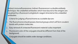 Antibodyflouresece | PPT