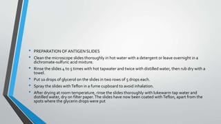 Antibodyflouresece | PPT