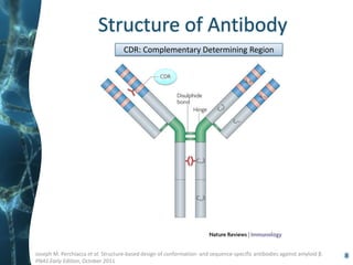Antibody For Alzheimer Disease | PPTX