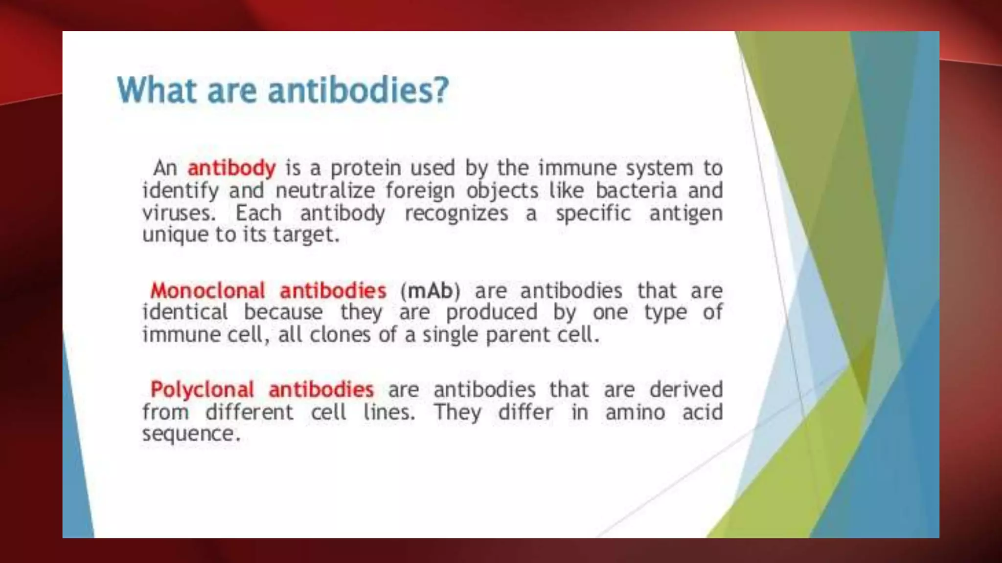 Antibody generation | PPTX