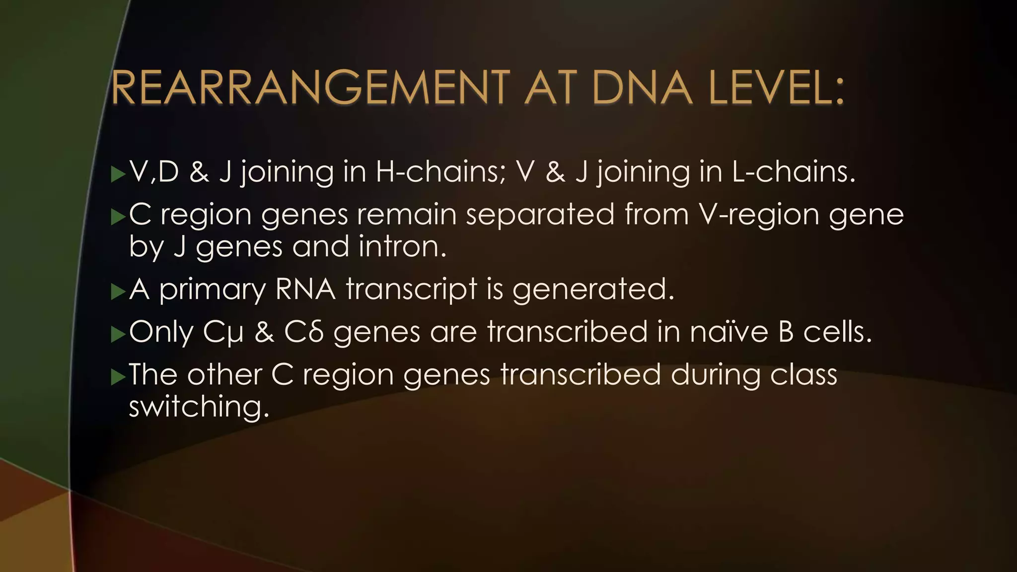 Antibody gene rearrangement presentation | PPTX