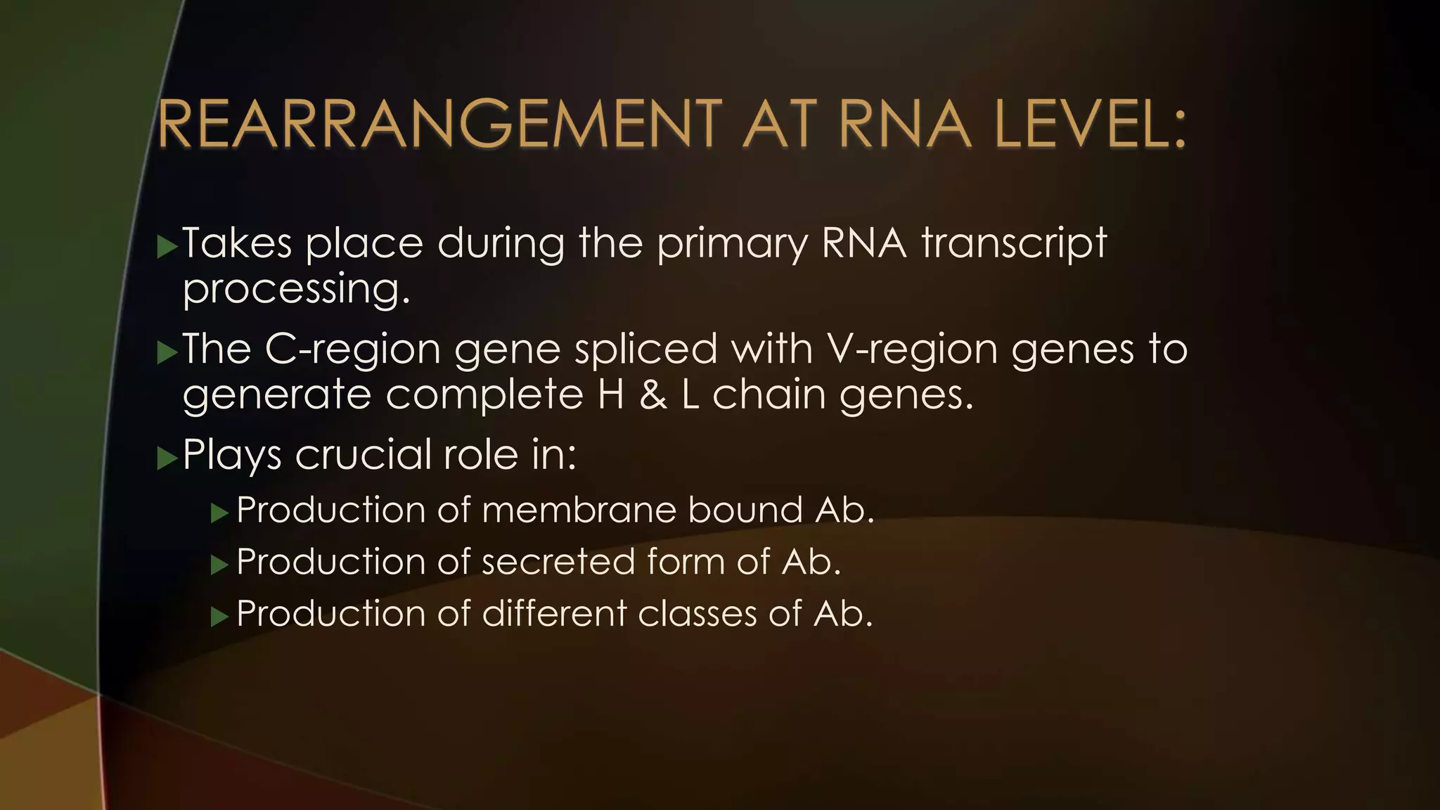 Antibody gene rearrangement presentation | PPTX