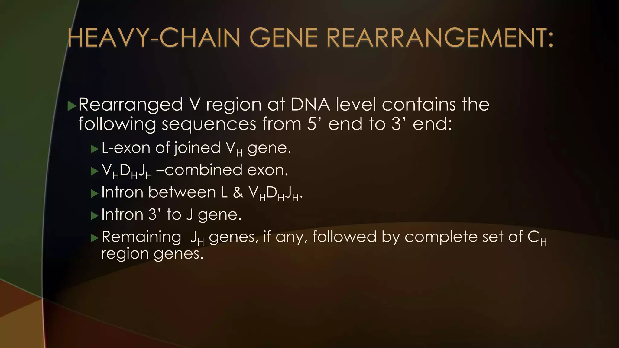 Antibody gene rearrangement presentation | PPTX