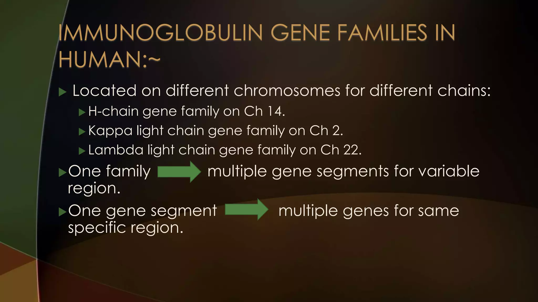 Antibody gene rearrangement presentation | PPTX