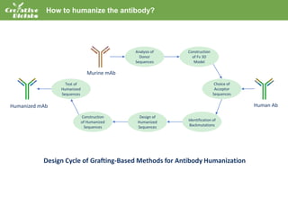 Antibody Humanization service creative biolabs | PPT