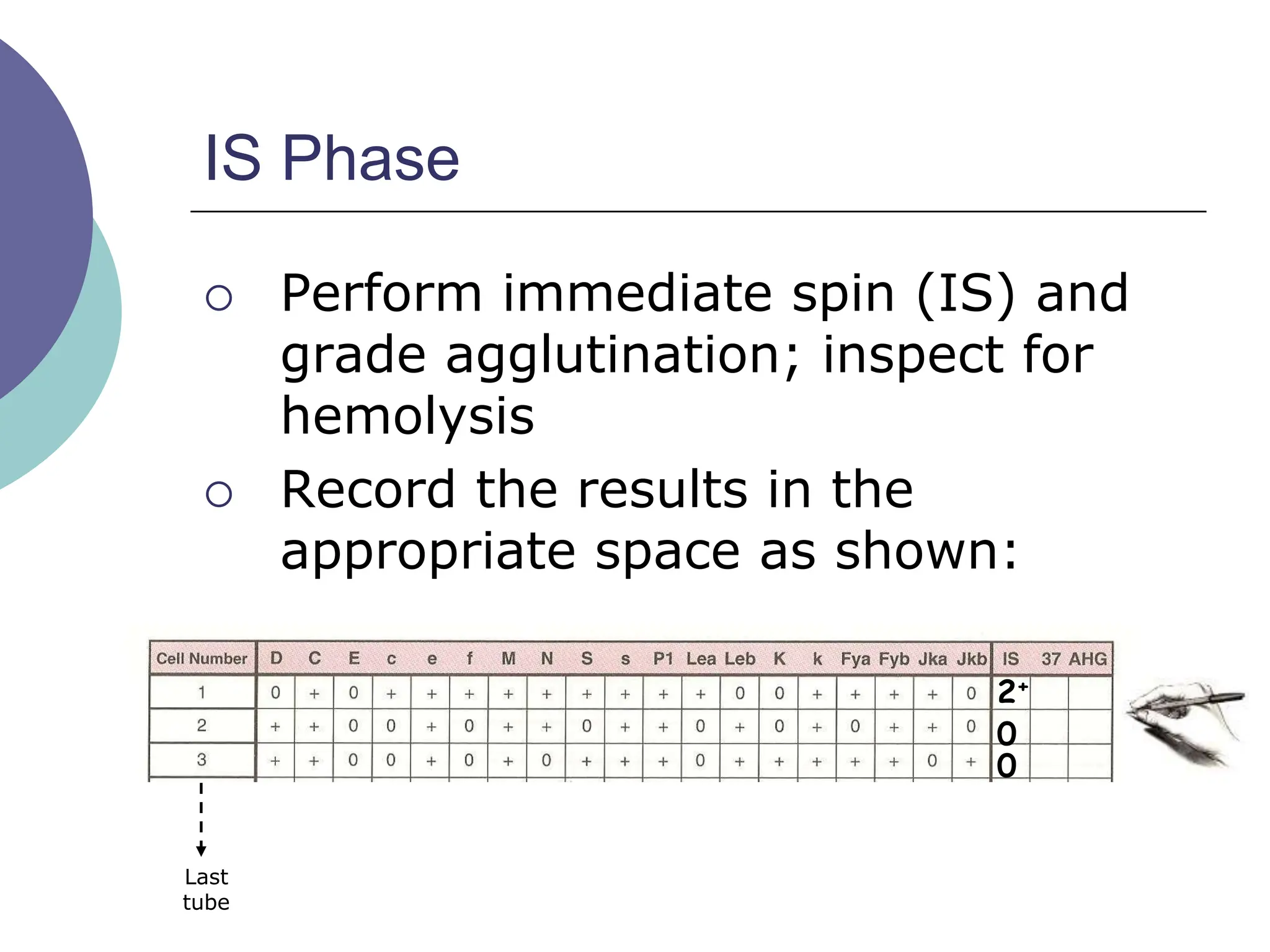 antibody identification ppt.ppt