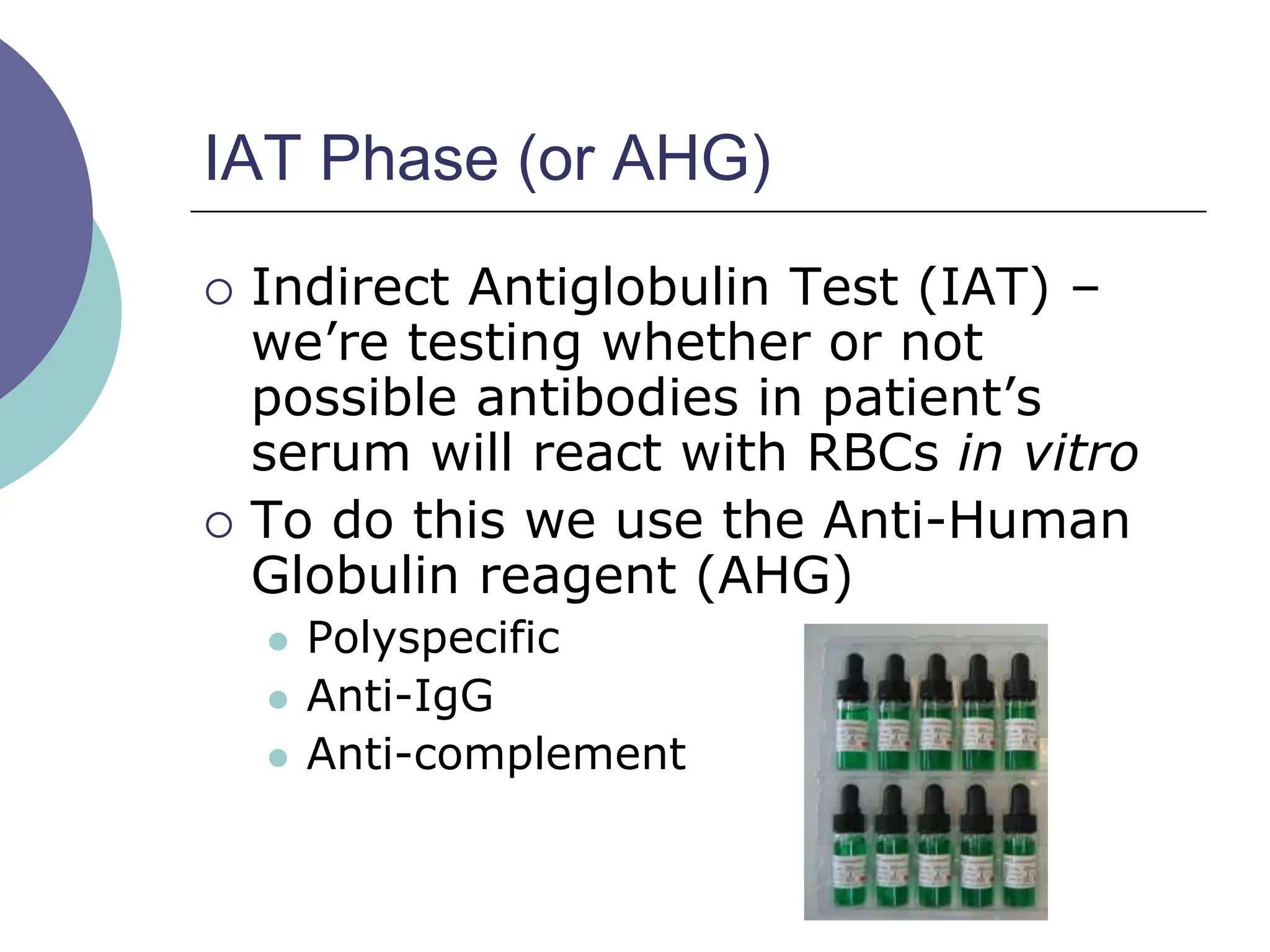 antibody identification ppt.ppt