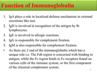 Antibody (immunoglobulin) | PPTX