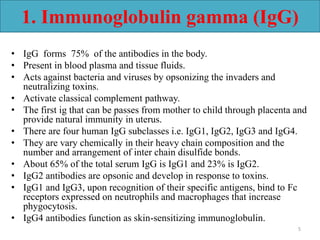 Antibody (immunoglobulin) | PPT