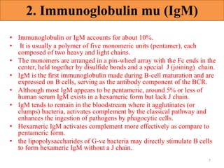 Antibody (immunoglobulin) | PPT