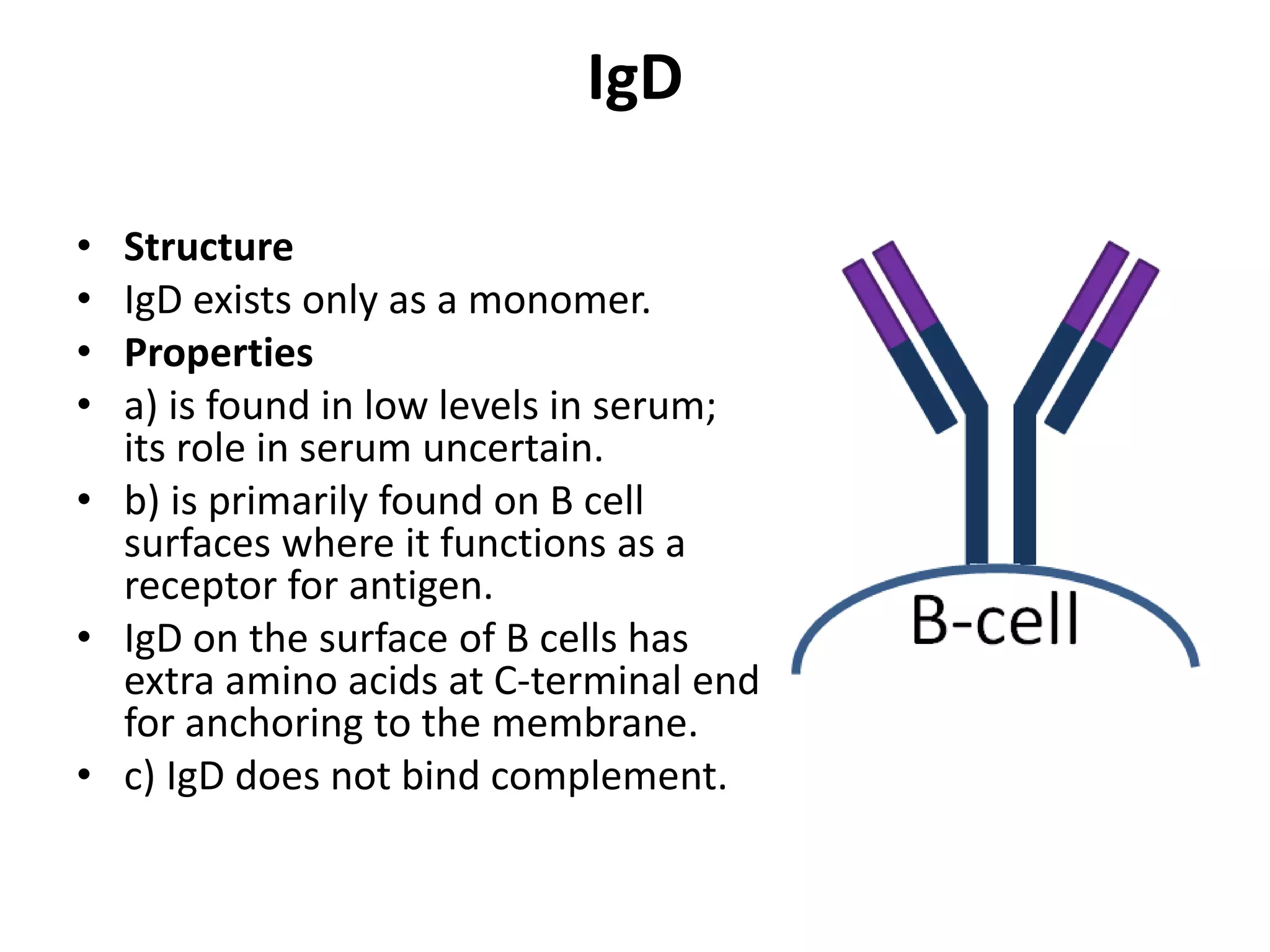 Antibody- (immunoglobulin) | PDF