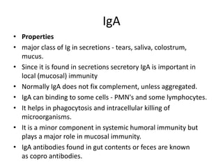 Antibody- (immunoglobulin) | PDF