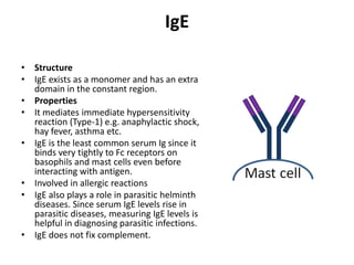 Antibody- (immunoglobulin) | PDF