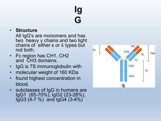Antibody immunoglobulin by prof. shashank chaurasiya | PPT