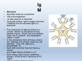 Antibody immunoglobulin by prof. shashank chaurasiya | PPT