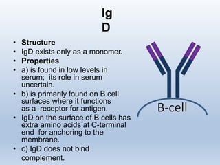 Antibody immunoglobulin by prof. shashank chaurasiya | PPT