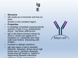 Antibody immunoglobulin by prof. shashank chaurasiya | PPTX