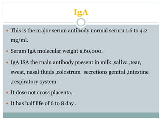 Antibody (immunoglobulins(ppt).pptx