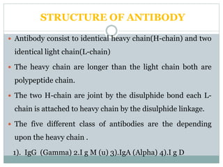 Antibody (immunoglobulins(ppt).pptx