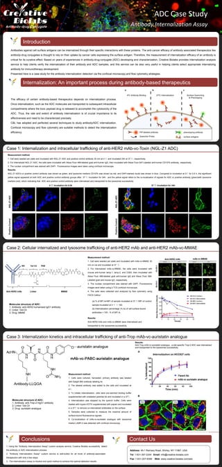 Antibody internalization asasay | PDF