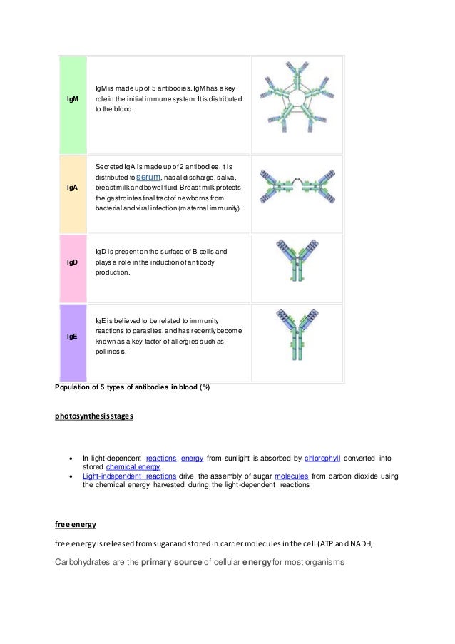 Antibody isotypes of mammals