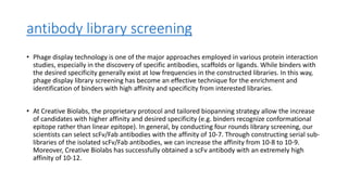 Antibody library screening | PDF
