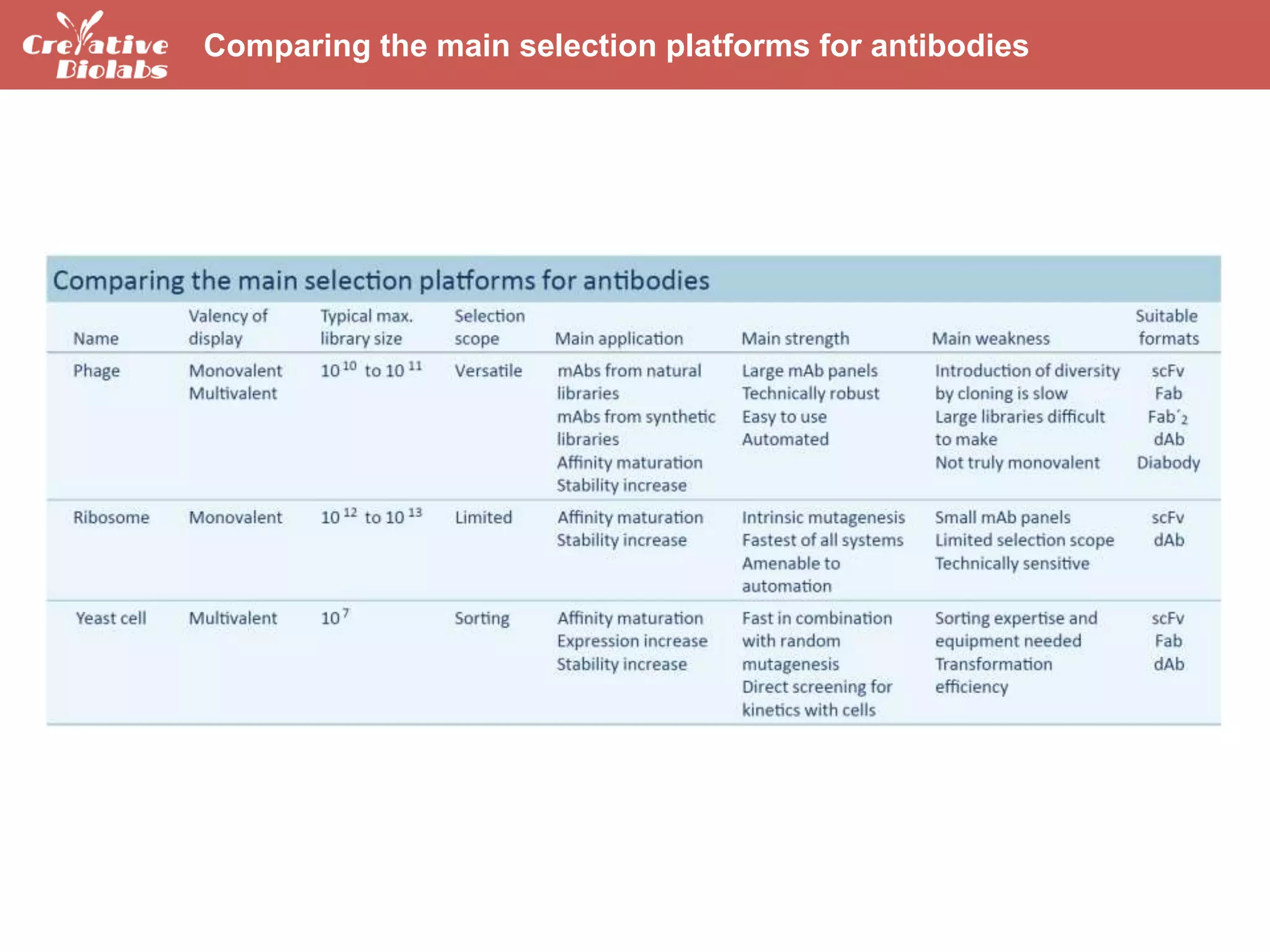 Antibody Library Screening - Creative Biolabs | PPT