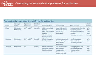 Antibody Library Screening - Creative Biolabs | PPT