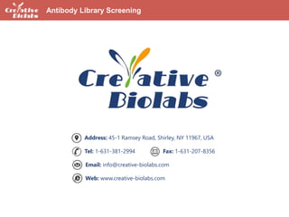 Antibody Library Screening - Creative Biolabs | PPT