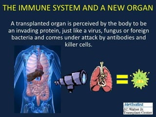 Antibody mediated rejection of solid organ allografts | PPTX