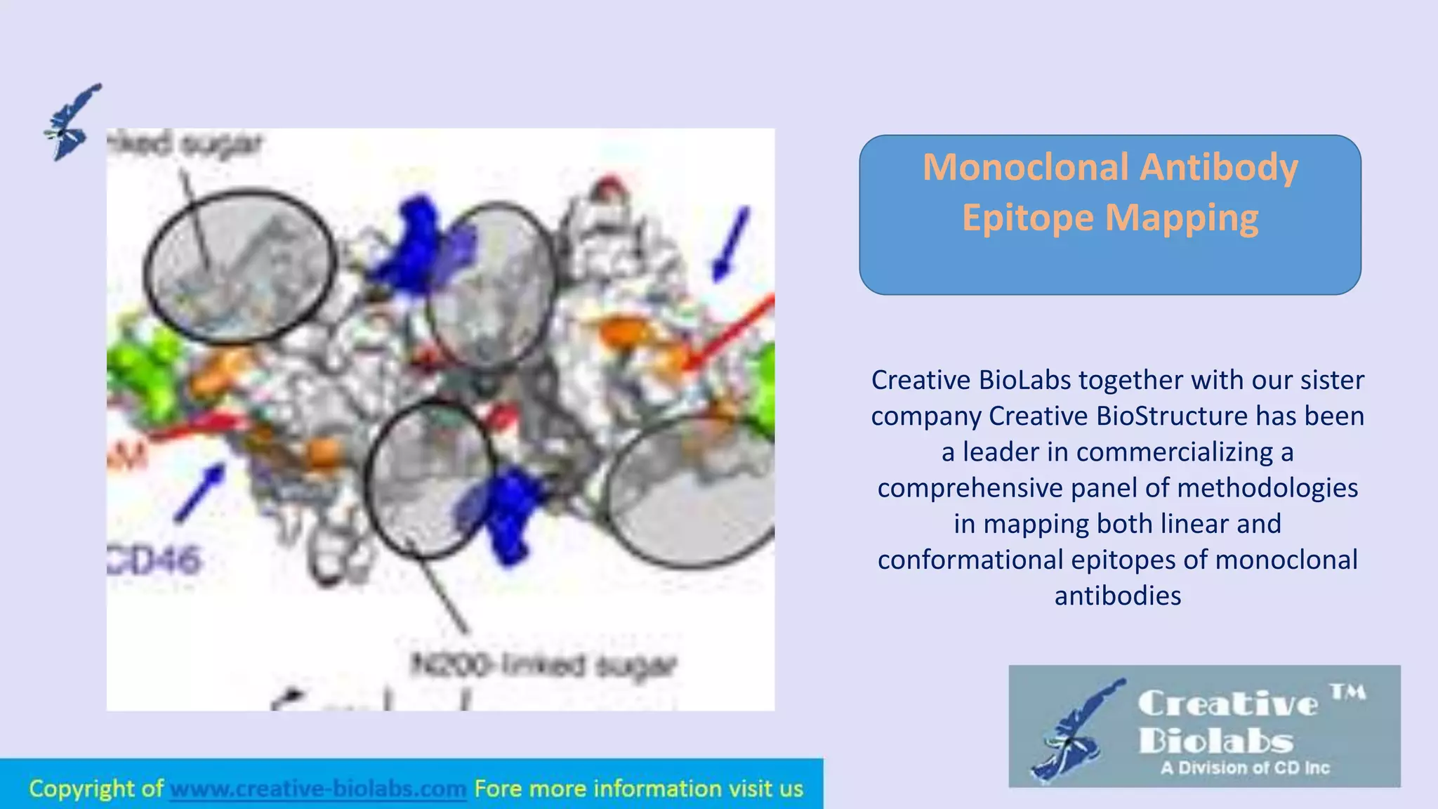 Antibody phage display | PPTX
