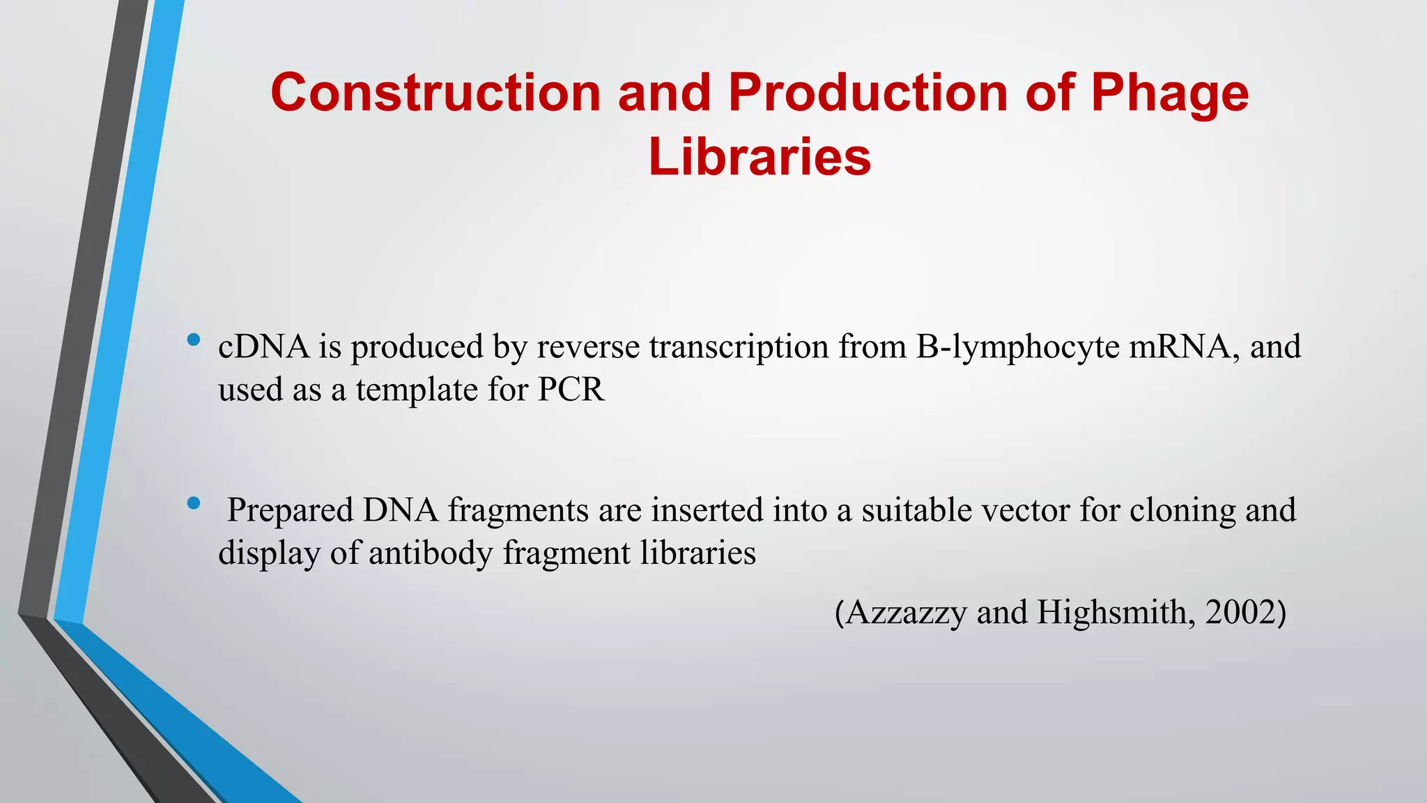 Antibody phage display technology | PPTX | Genetics | Science