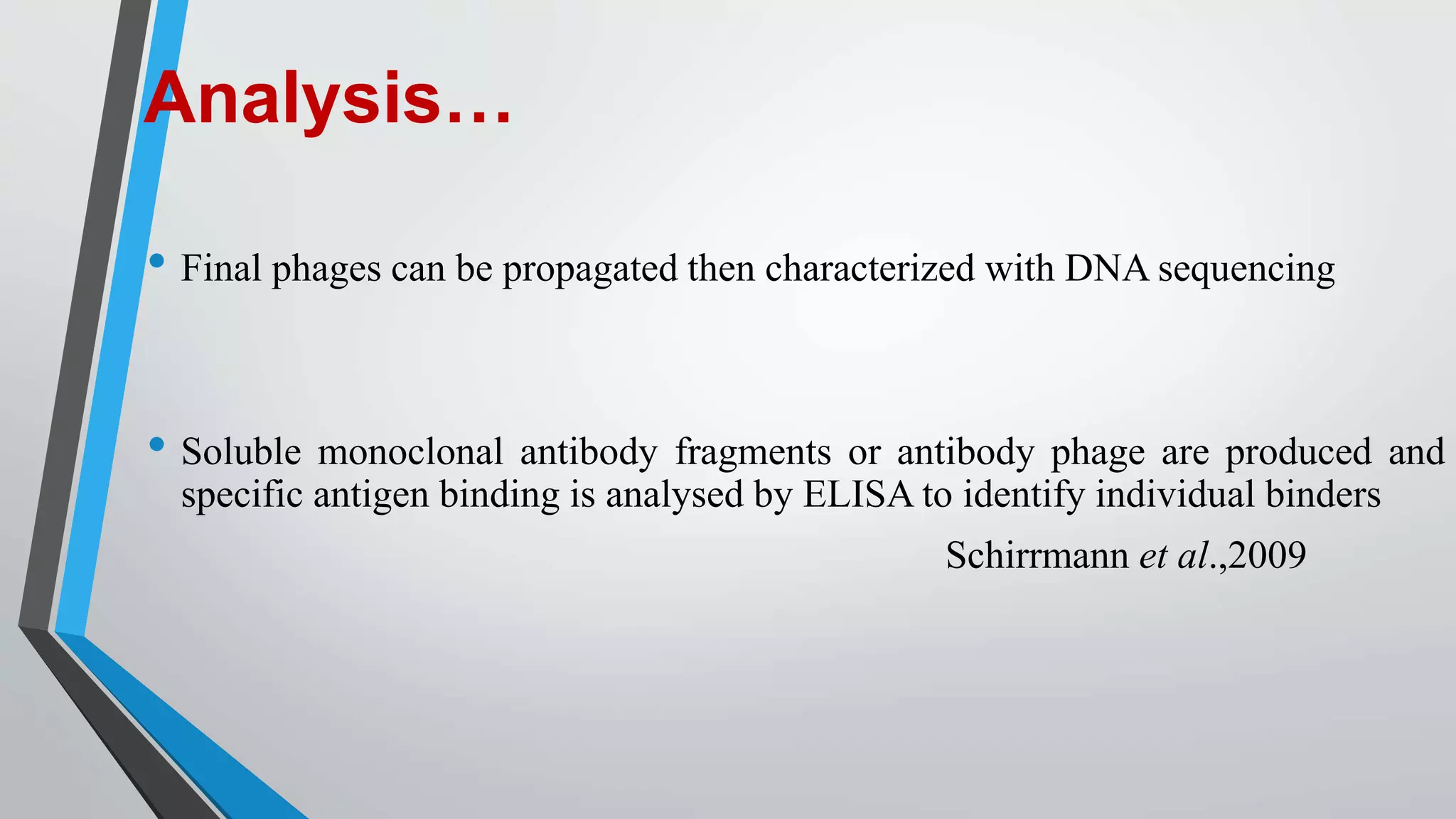 Antibody Phage Display Technology Pptx Genetics Science