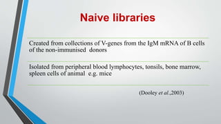 Antibody phage display technology | PPTX