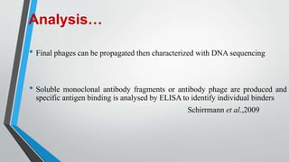 Antibody phage display technology | PPTX