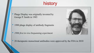 Antibody phage display technology | PPTX