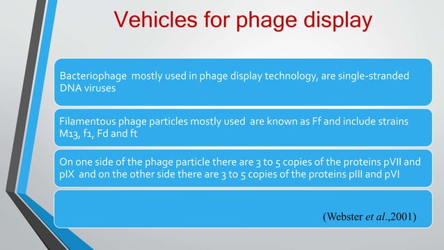 Antibody phage display technology | PPT