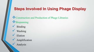 Antibody phage display technology | PPTX
