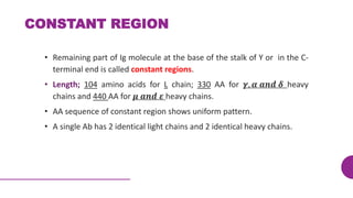 General structure of Antibody and its functions ppt | PPTX