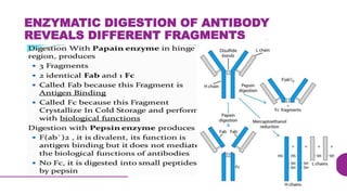 General structure of Antibody and its functions ppt | PPTX