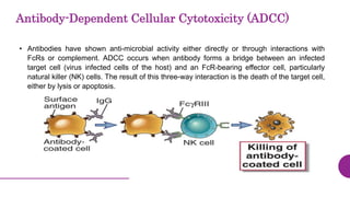 General structure of Antibody and its functions ppt | PPTX