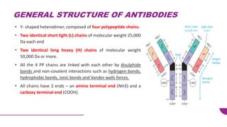 General structure of Antibody and its functions ppt | PPTX