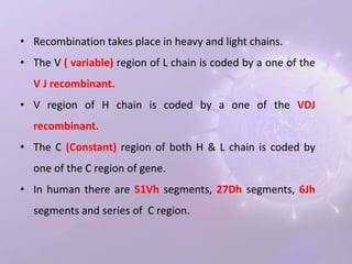 Antibody PPT BTTTT.pptx