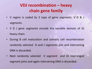 Antibody PPT BTTTT.pptx
