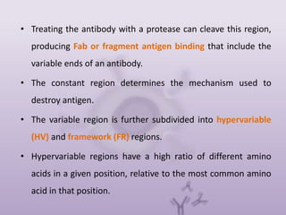 Antibody PPT BTTTT.pptx