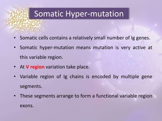 Antibody PPT BTTTT.pptx