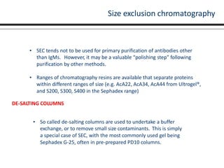 Antibody purification | PPTX